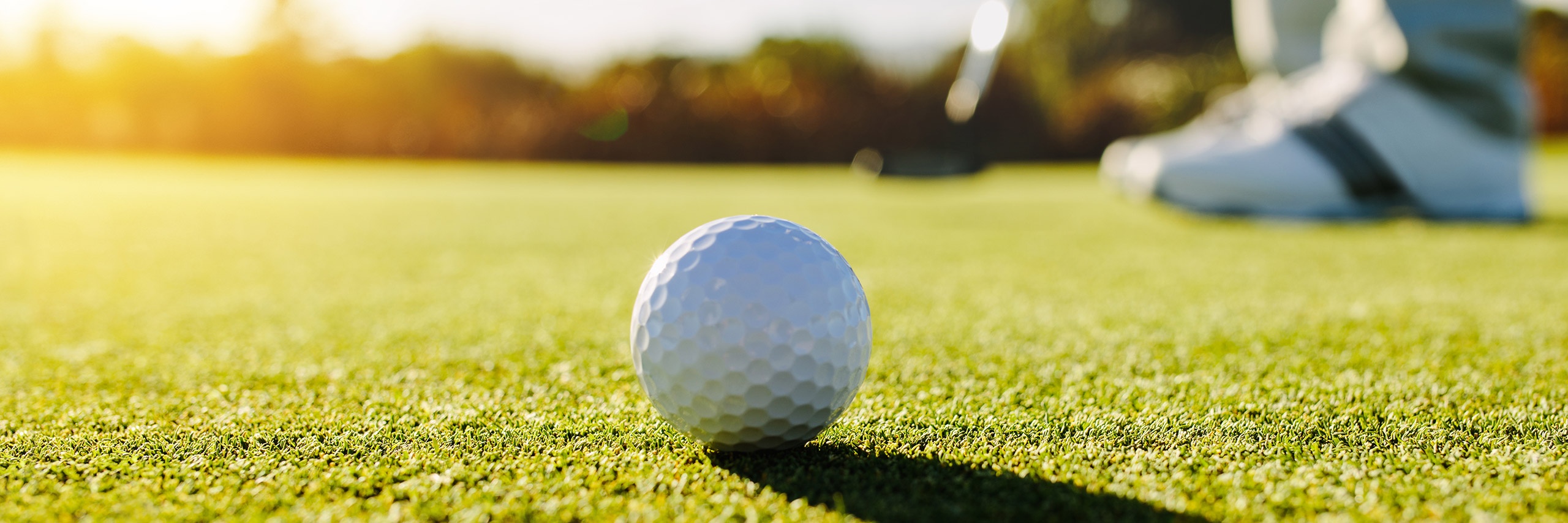 Turfgrass Management, AS | Keiser University College of Golf